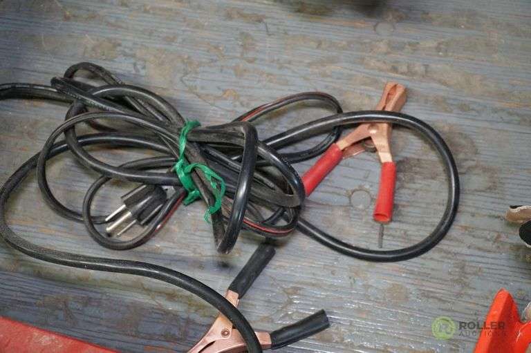 Century 87121 Battery Charger - Roller Auctions