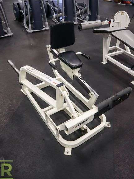 Cybex Rotary Calf Plate Loaded Machine - Roller Auctions