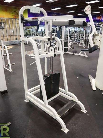 Life Fitness Standing Calf Cable Machine - Roller Auctions