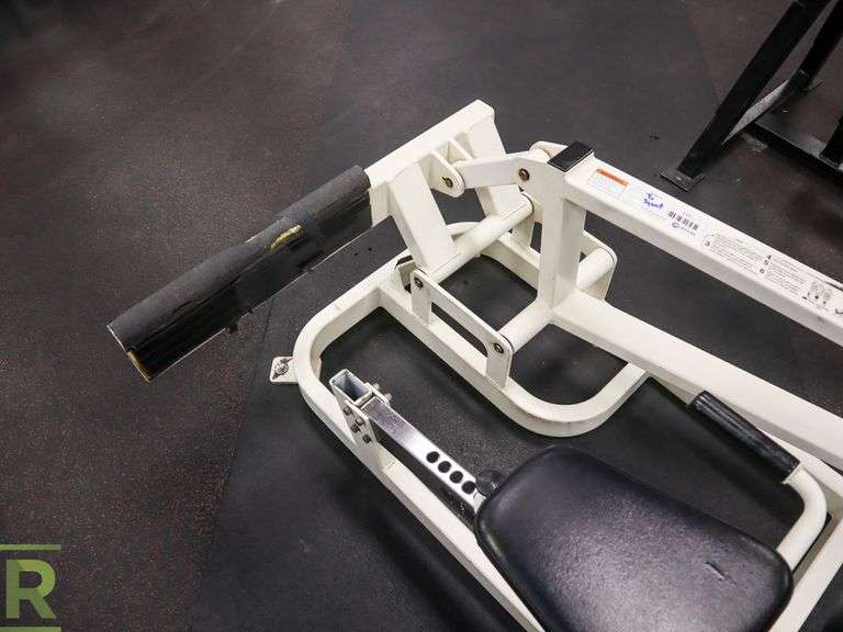 Cybex Rotary Calf Plate Loaded Machine - Roller Auctions