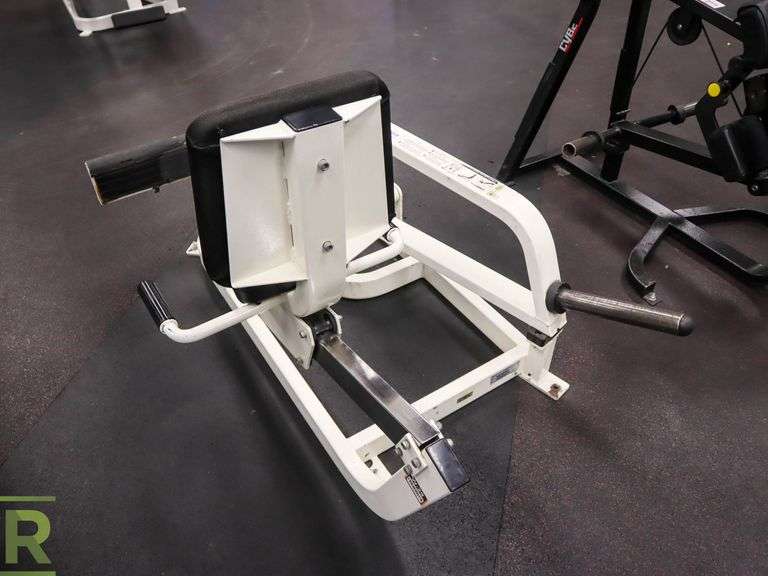 Cybex Rotary Calf Plate Loaded Machine - Roller Auctions