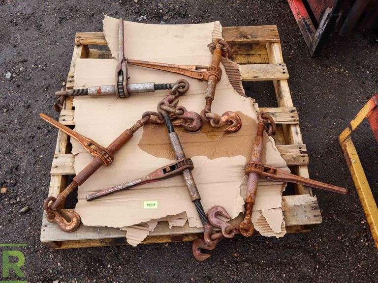 (5) Ratchet Boomers - Roller Auctions