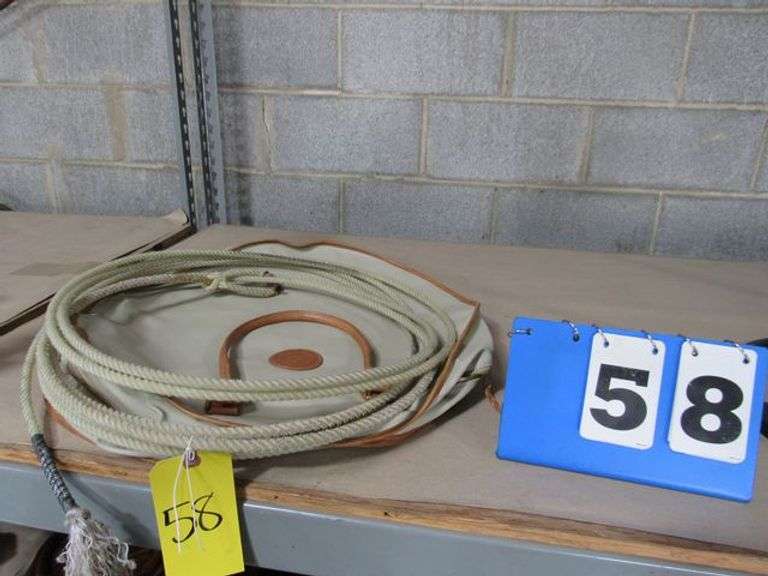LOT, (1) LASSO WITH BAG AND (1) WHIP - Rosen Systems
