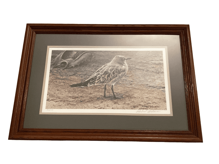 Robert Bateman Signed Limited Edition Print - reSettled Life