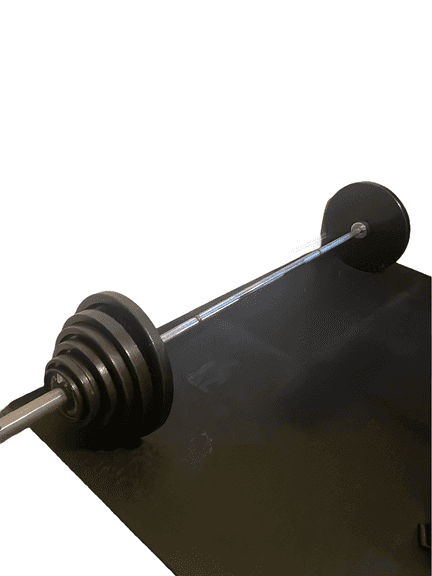 Sports Authority Squat Bar and Mat - reSettled Life