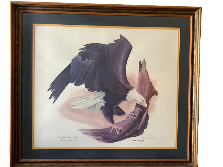 Gene Gray Bald Eagle Print - reSettled Life