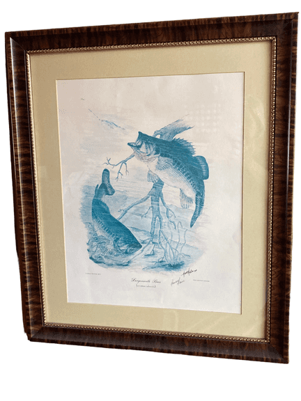 Howard Fain Signed Print - reSettled Life