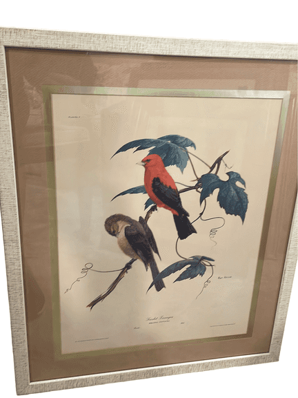 Ray Harm Print - reSettled Life