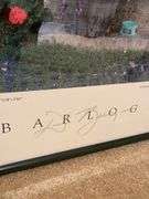 Framed Barloga Poster - reSettled Life