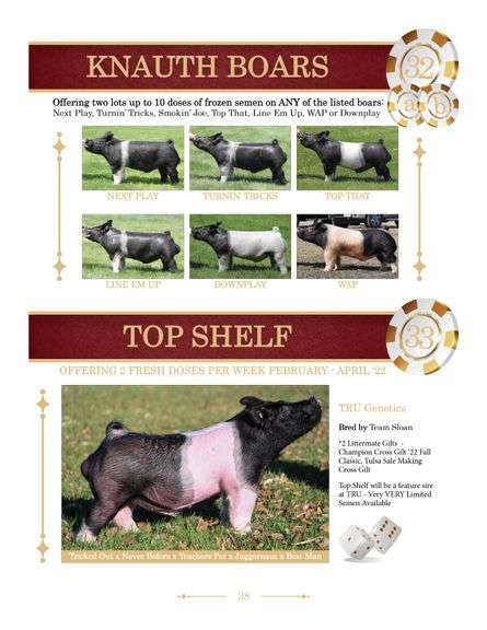 32 b - Knauth Boars Semen - Salering.live