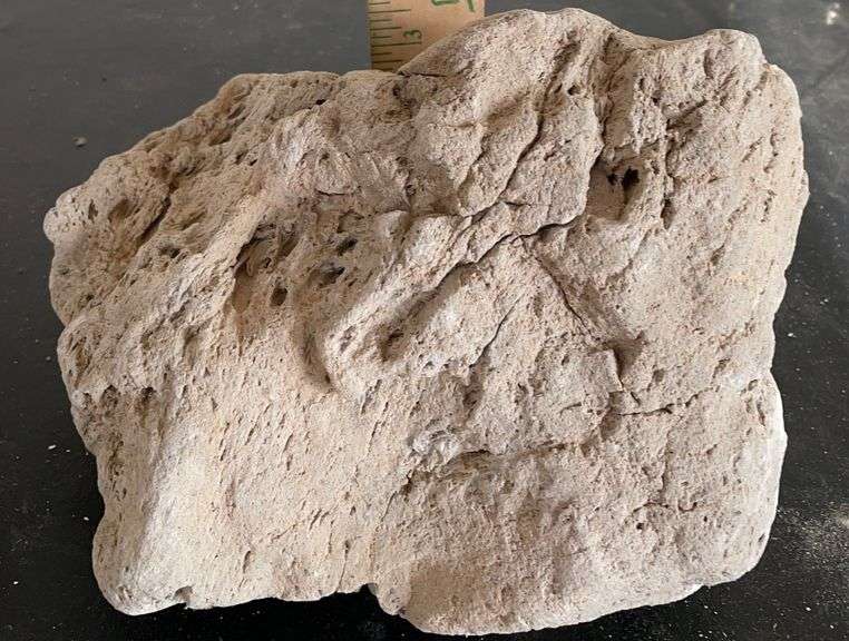 Sponge Rock - Sherwood Auctions