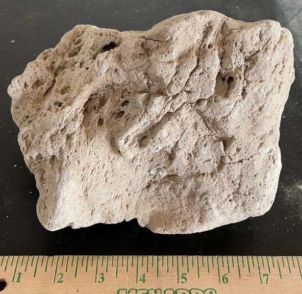 Sponge Rock - Sherwood Auctions