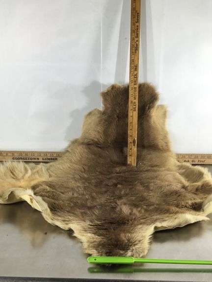 Kangaroo Fur - Sherwood Auctions