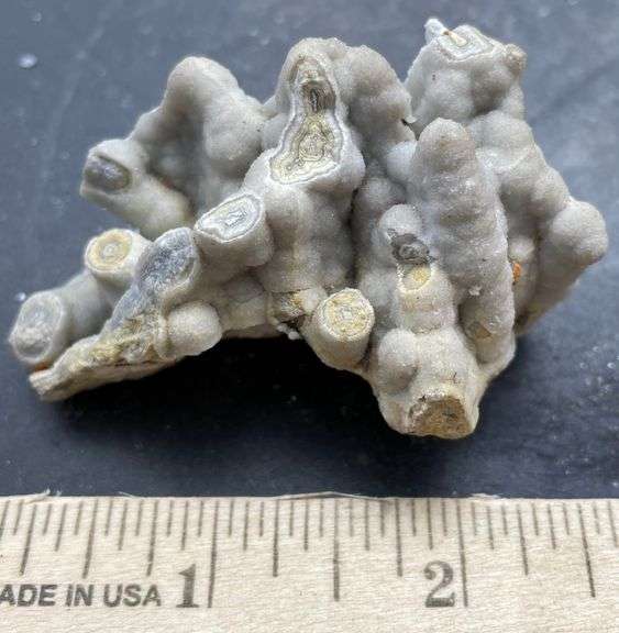 Tubular Agate Fossil Formations w/ Sparkly Crystal Formations on ...
