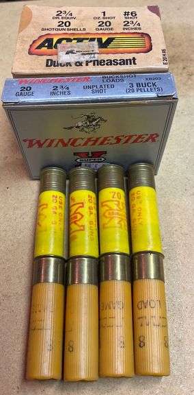 20 gauge Winchester & Active Shotgun Shells + 8 extra - Sherwood Auctions