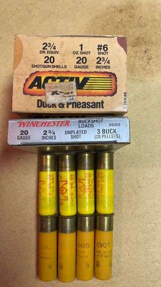 20 gauge Winchester & Active Shotgun Shells + 8 extra - Sherwood Auctions
