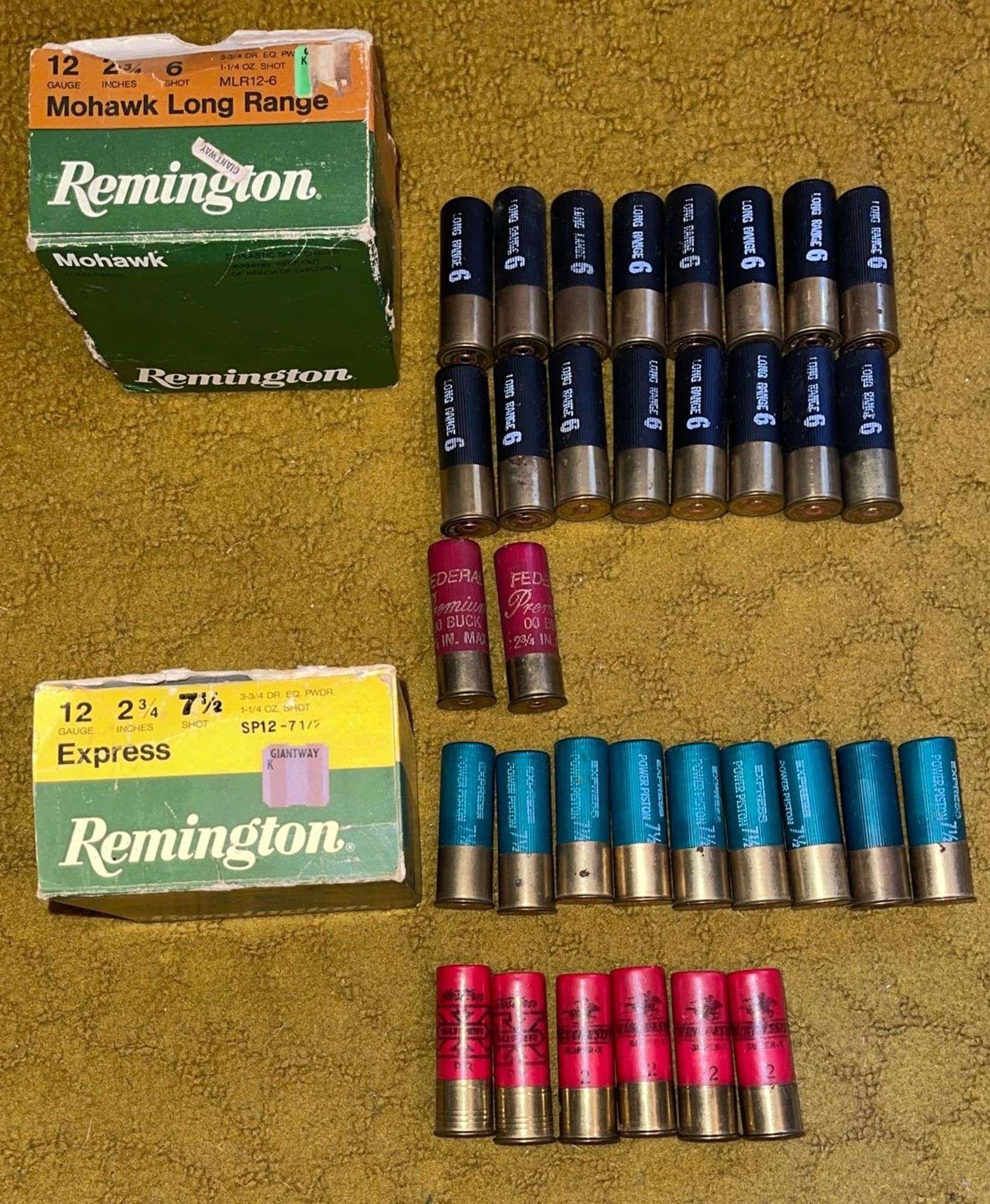 6 Gauge Shotgun Shell