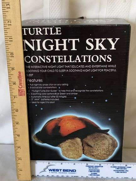 Turtle Night Sky Constellations - Sherwood Auctions