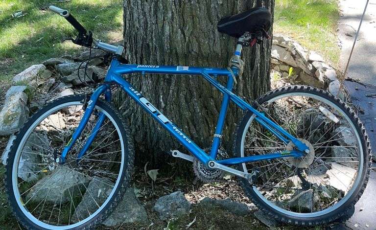 Pantera GT Triple Triangle Mountain Bike - Sherwood Auctions