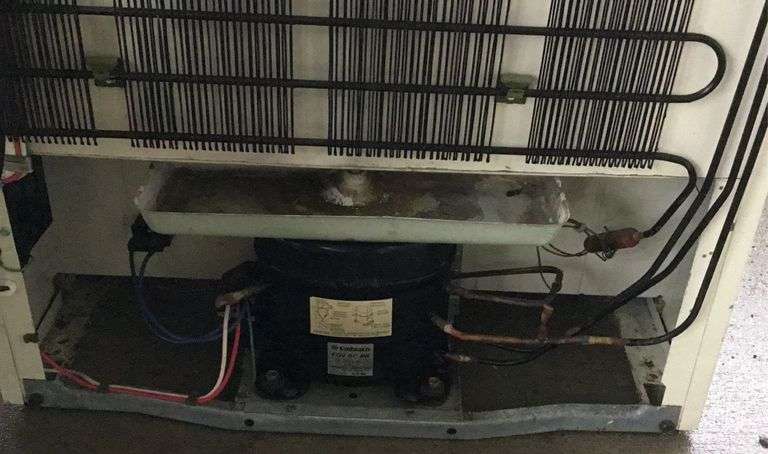 Kenmore Frostless Freezer - Sherwood Auctions