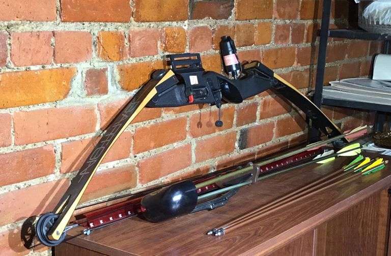 Vintage Darton Compound Bow and Arrows - Sherwood Auctions