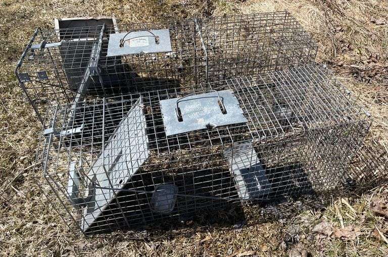 Two Large Live Traps & a Chicken Feeder - Sherwood Auctions