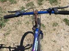 26” Roadmaster 10 Speed Bike - Sherwood Auctions