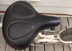 Schwinn AirDyne Ergometer Stationary Excerise Bike (Top timer gauge ...