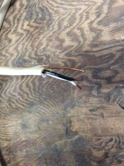 Electrical Wire - Sherwood Auctions