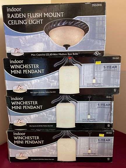 New in Boxes- Patriot Lightning Raiden Flush Mount Ceiling Light & 3 ...