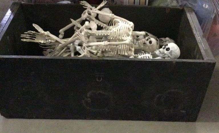Assorted Skeletons in Heavy Duty Box - Sherwood Auctions