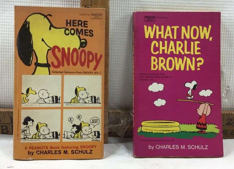 Here Comes Snoopy & What Now, Charlie Brown? Paperback Comics ...