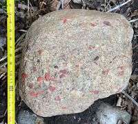 Large Pudding Stone 14”x13”x8” - Sherwood Auctions