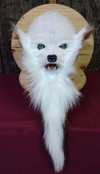 Taxidermist Special! Mounted Deer Rear "Michigan Swamp Booger ...