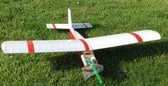 Gas Powered RC Plane - Sherwood Auctions