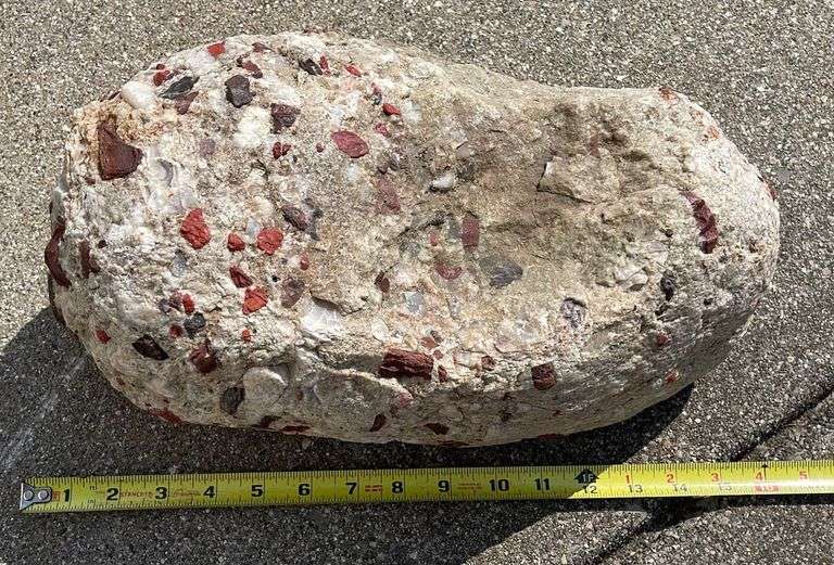 Pudding Stone 16" long by 9" wide - Sherwood Auctions