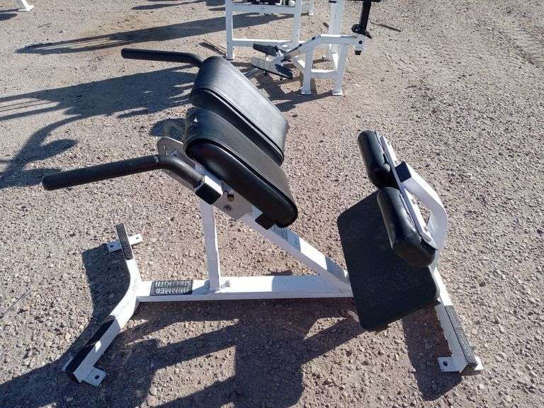 Hammer Strength Back and Lower Back Workout Machine - Sierra Auction ...