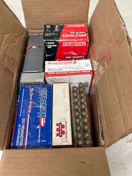 Box of Assorted Ammo (including: 9mm, .223, Shotgun) - Sierra Auction ...