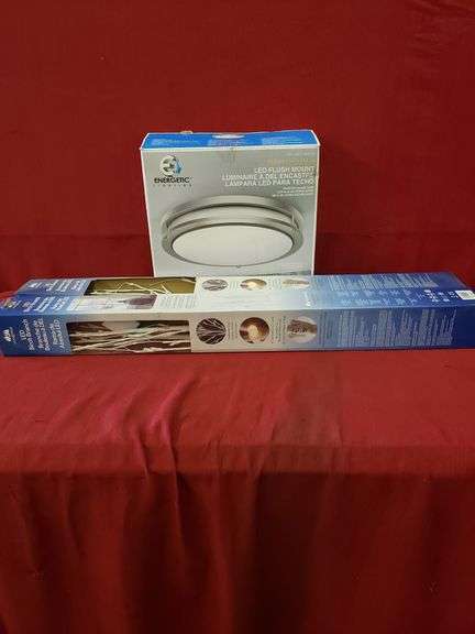 3pc Energetic Lighting LED Flush Mount, Evergreen LED Birch Branch ...