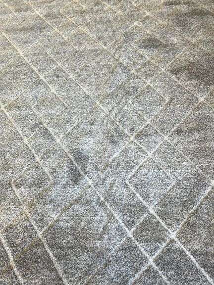 PLUSH STEP 7’10”x10’ Area Rug-Izzie Gray - Sierra Auction Management Inc