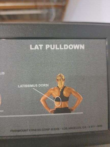 Paramount Lat Pull-down Weight Machine - Sierra Auction Management Inc