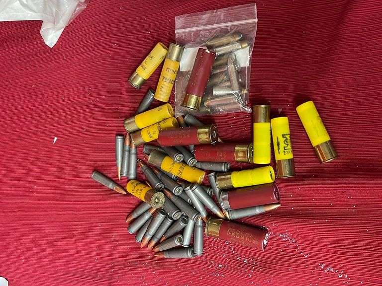 Assorted Ammo (Shot Gun Shells, 7.62x39 Auto, 357 Auto) - Sierra ...