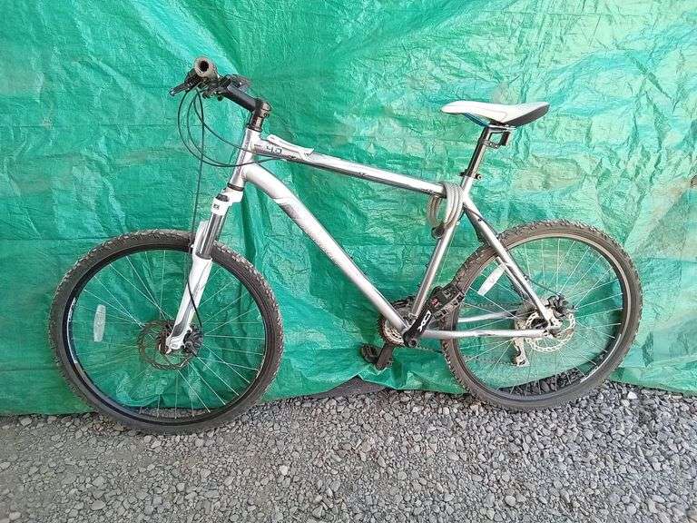 Silver Raleigh Mountain Bike - Sierra Auction Management Inc