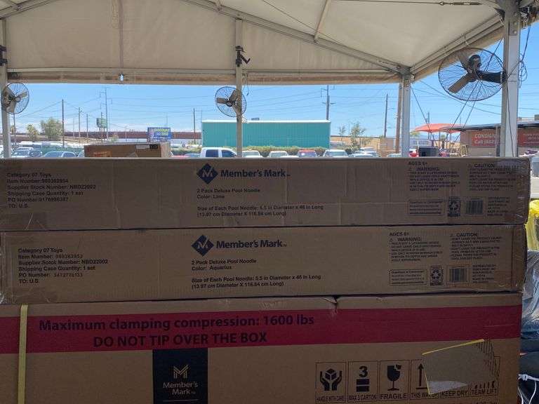 Members Mark Pool Noodle - Sierra Auction Management Inc