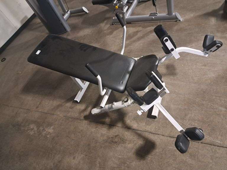 Pace Hydra Fitness Hydra-Gym Hydraulic Lower-Body Exercise Machine ...