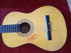 Goodlin Acoustic Guitar - Sierra Auction Management Inc