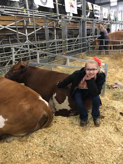 Kellen Murphy Kilgore FFA - StockShowAuctions.com