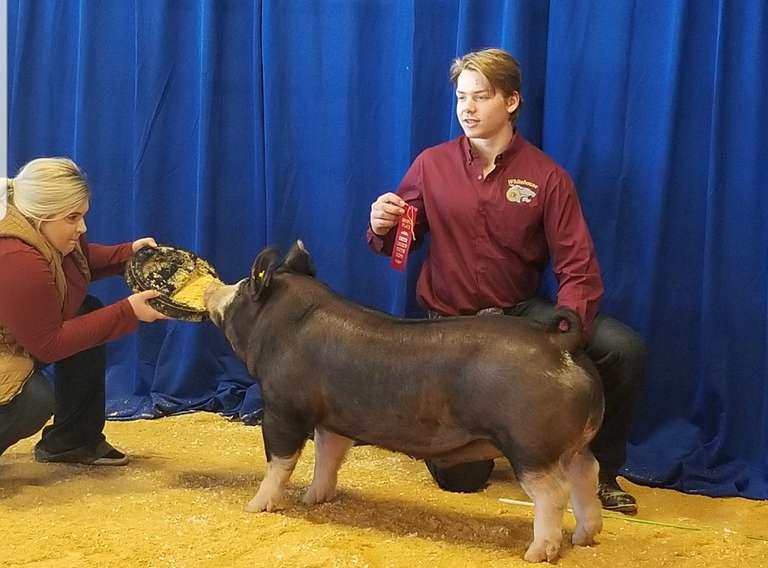 Kristopher Roberts Whitehouse FFA - StockShowAuctions.com