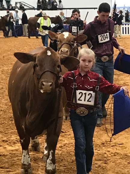 Kellen Murphy Kilgore FFA - StockShowAuctions.com