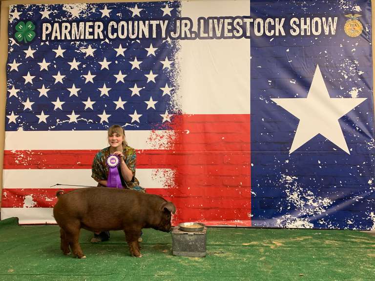 Jaelyn Smith Farwell FFA - StockShowAuctions.com
